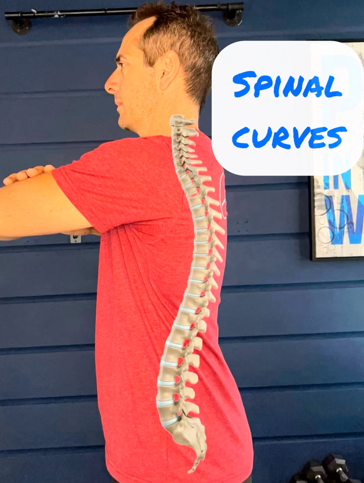 Why Spinal Curves Matter: Understanding the S-Shaped Spine | New Path ...