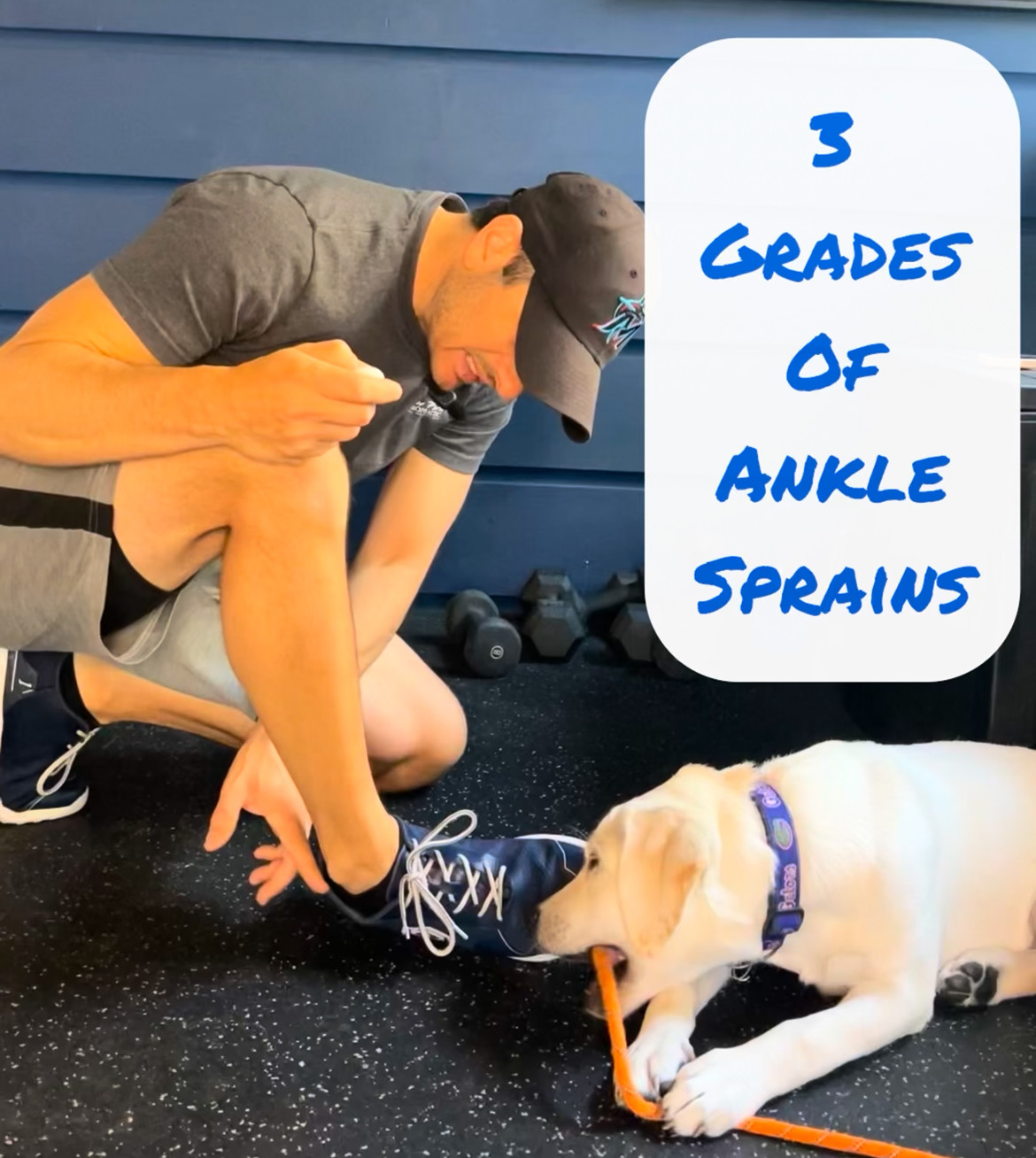 Understanding Inversion Ankle Sprains: Grades, Healing Time & Tests ...